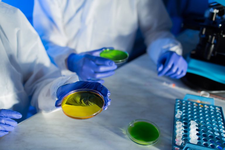 Saiba o que é um antibiograma e descubra a sua importância! Saiba o que é um antibiograma e descubra a sua importância!